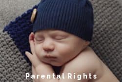 Surrogacy, Egg Donation, Sperm Donation LGBT Families Lawyers | IFLG - International Fertility ...