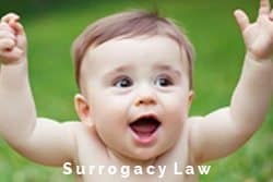 Surrogacy, Egg Donation, Sperm Donation LGBT Families Lawyers | IFLG - International Fertility ...