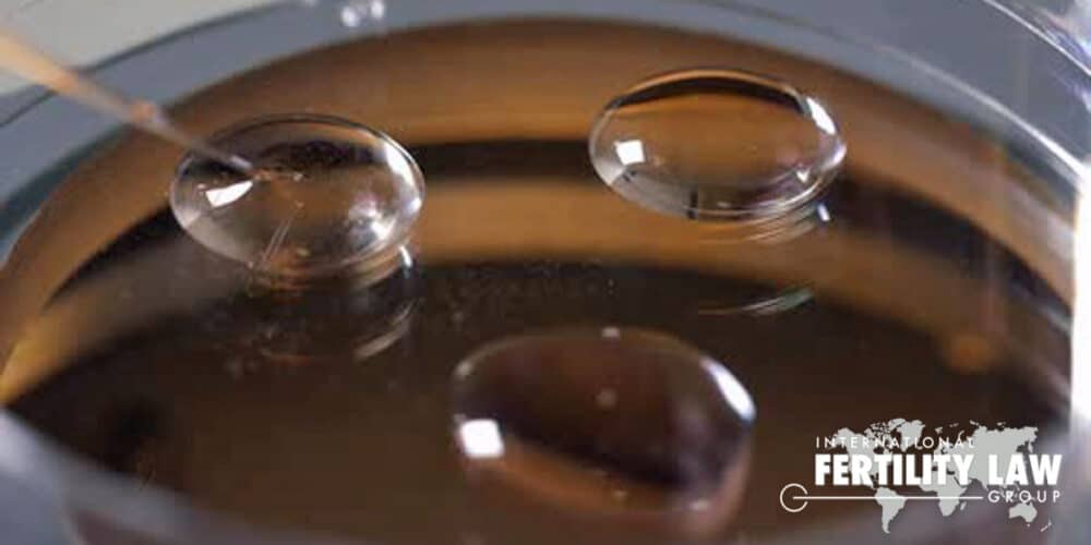 Rich Vaughn - Blog | IFLG - International Fertility Law Group