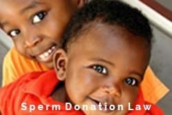 Surrogacy, Egg Donation, Sperm Donation LGBT Families Lawyers | IFLG - International Fertility ...